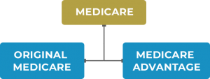 Medicare for Dummies: Things You Need to Know