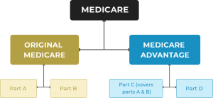 Medicare for Dummies: Things You Need to Know