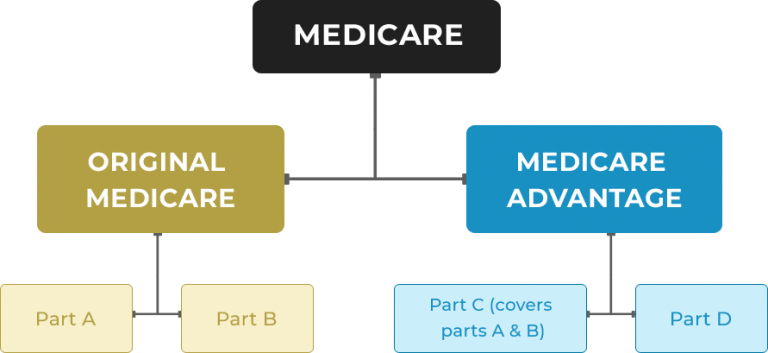 Medicare for Dummies: Things You Need to Know