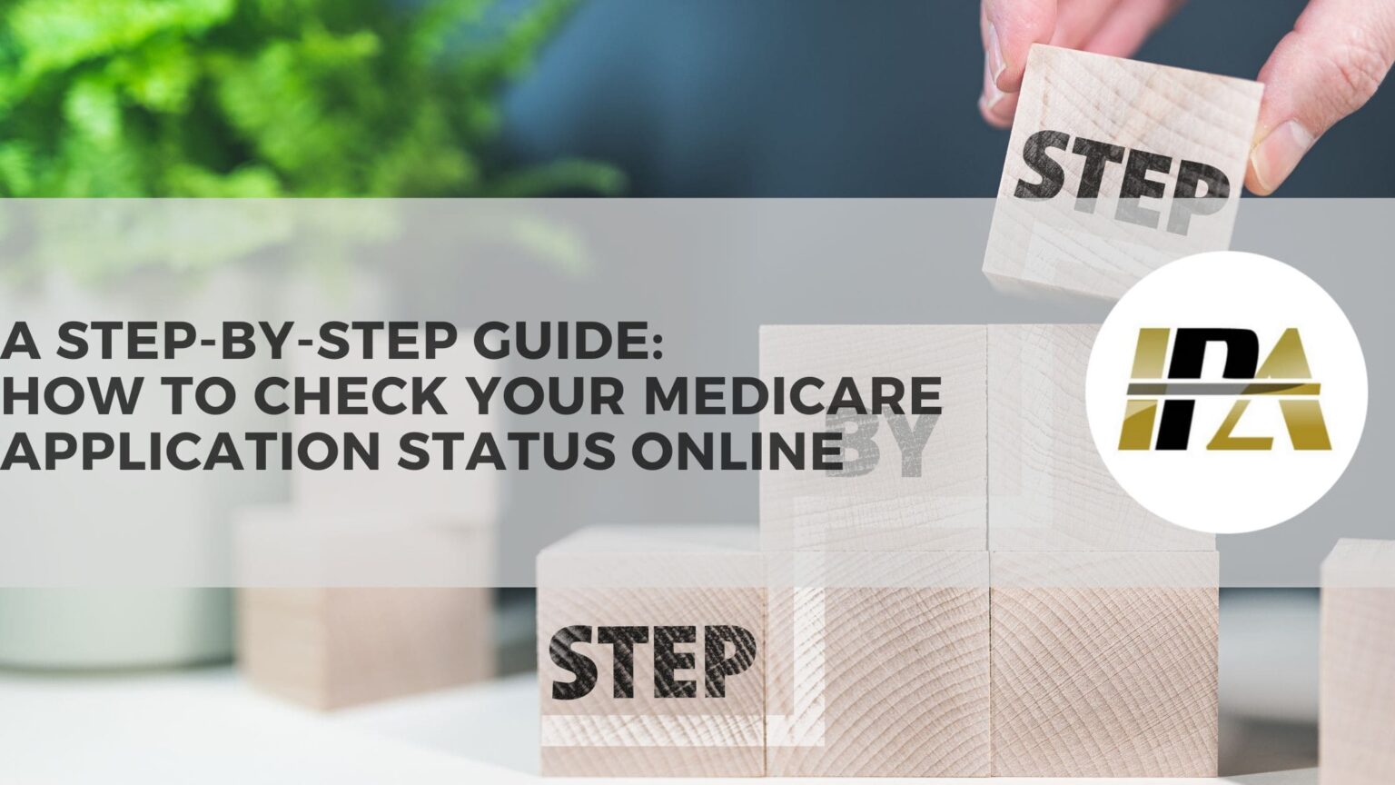 Step-by-Step Guide: How to Check Your Medicare Application Status Online
